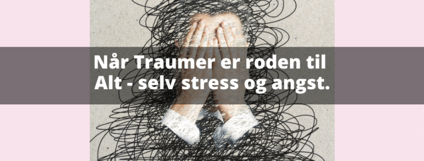 Når Traumer er roden til Alt - selv stress og angst. - Traume ...